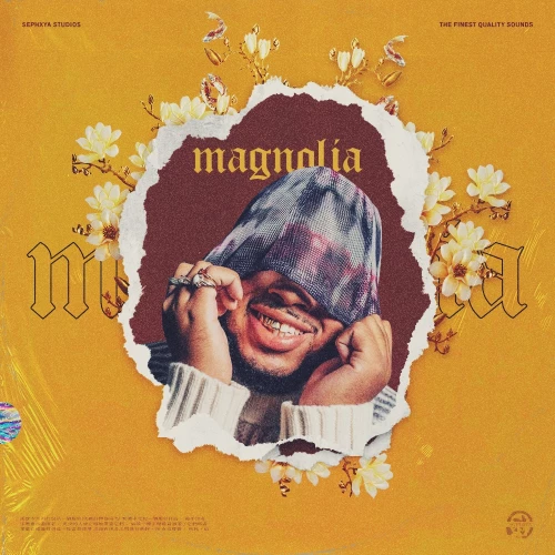 Magnolia Sample Pack - RouteNote Create