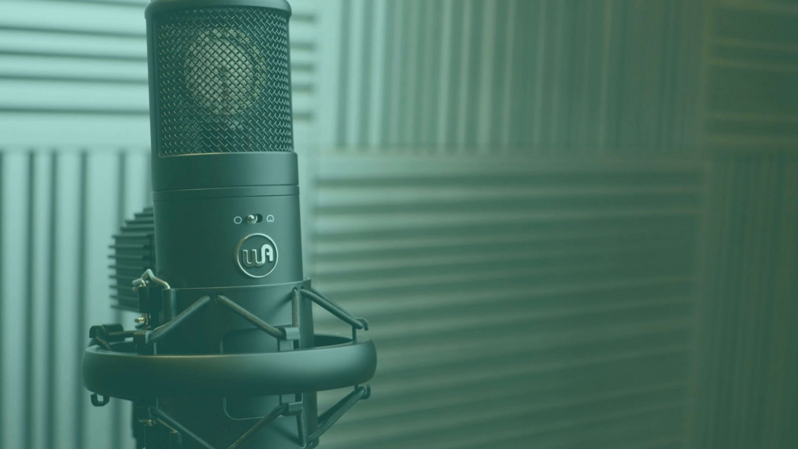 Warm Audio’s WA-8000: An Alternative to Sony’s C-800G Microphone ...