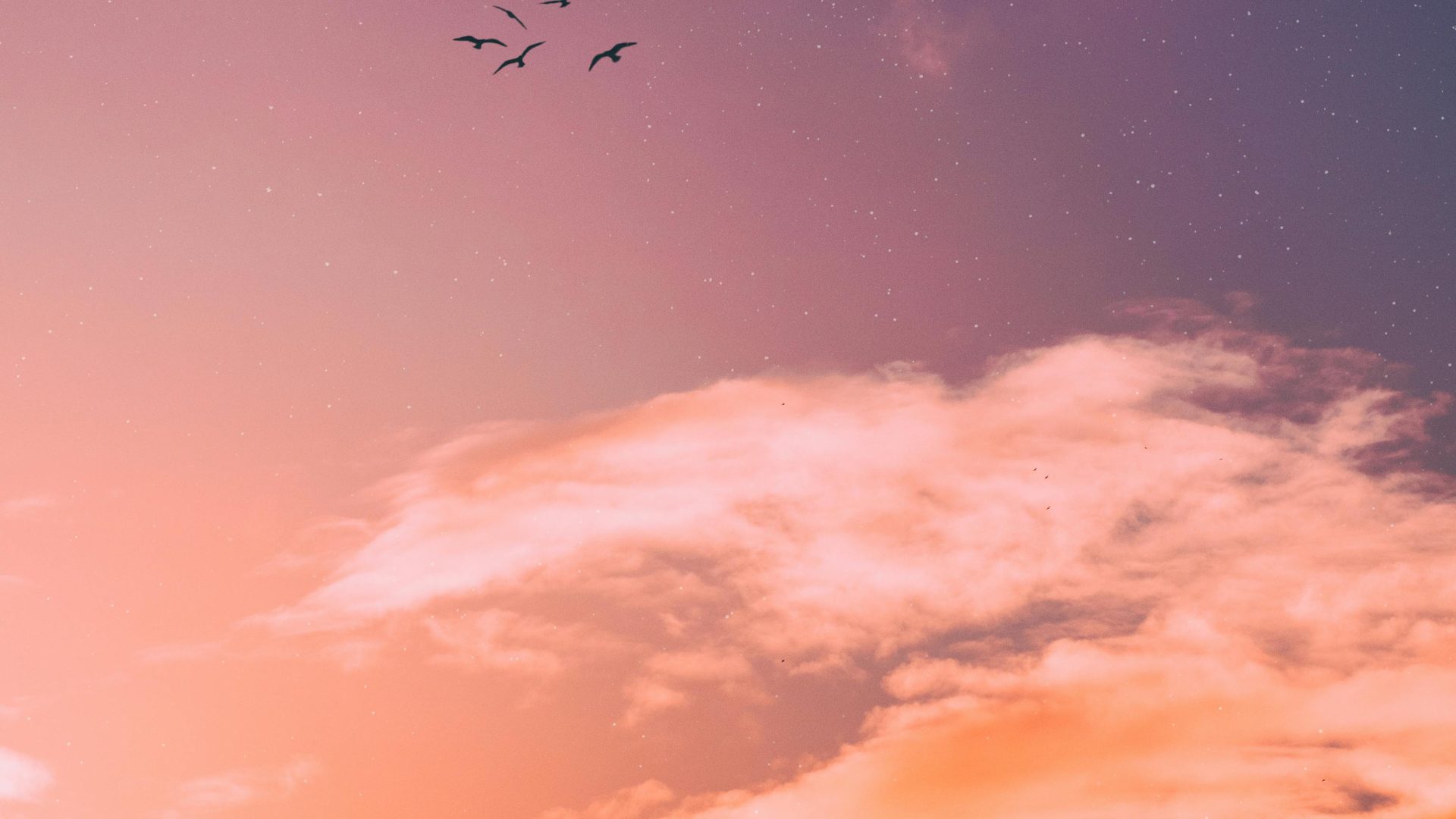 The 4 Best Anime Sample Packs - RouteNote Create Blog